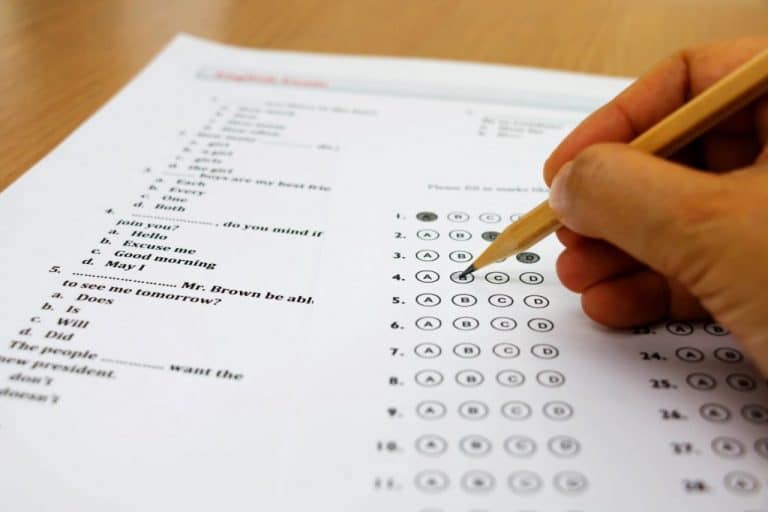 How to Access Your UK eVisa: A Step-by-Step Guide for Immigrants » Learning Park Education Services